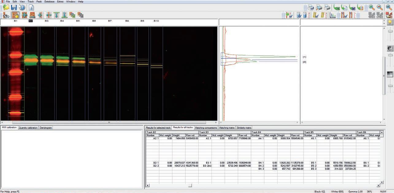 G:BOX Chemi XX6 System